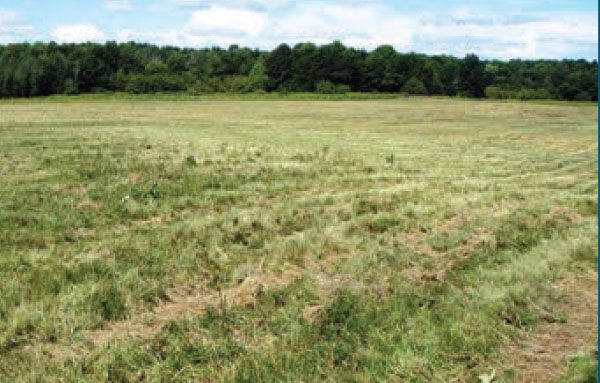 St. Lawrence – FDR Power Project - Kleinschmidt