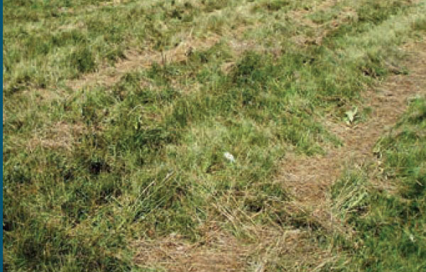 St. Lawrence – FDR Power Project - Kleinschmidt