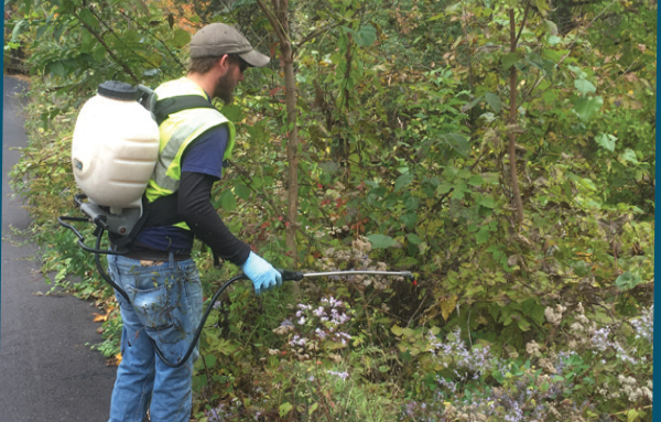 ROW Invasive Vegetation Management - Kleinschmidt